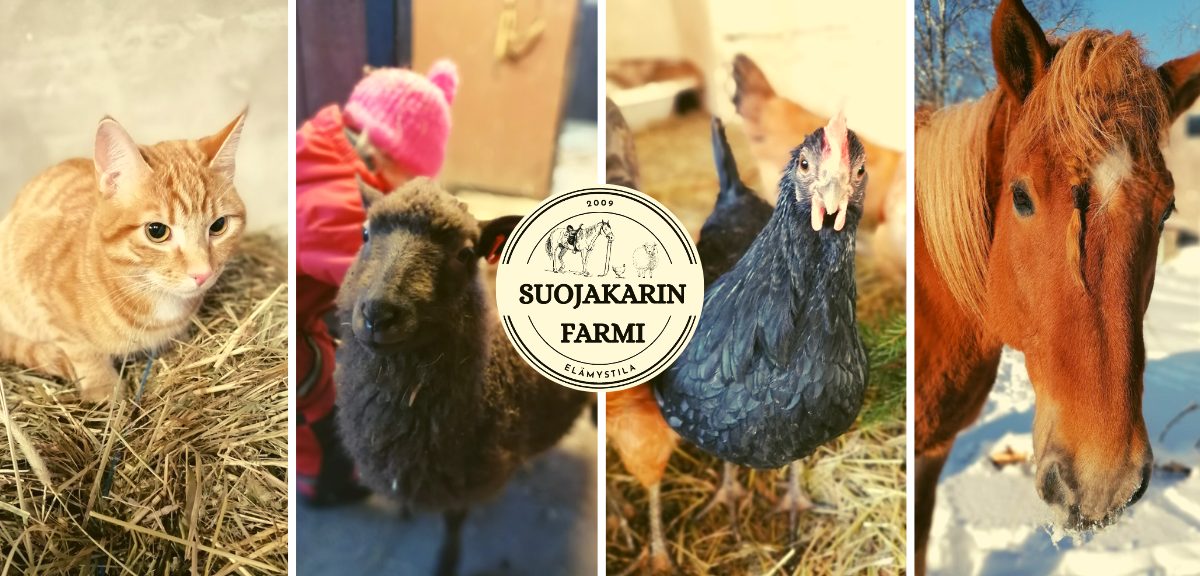 Yhteystiedot - Suojakarin Farmi